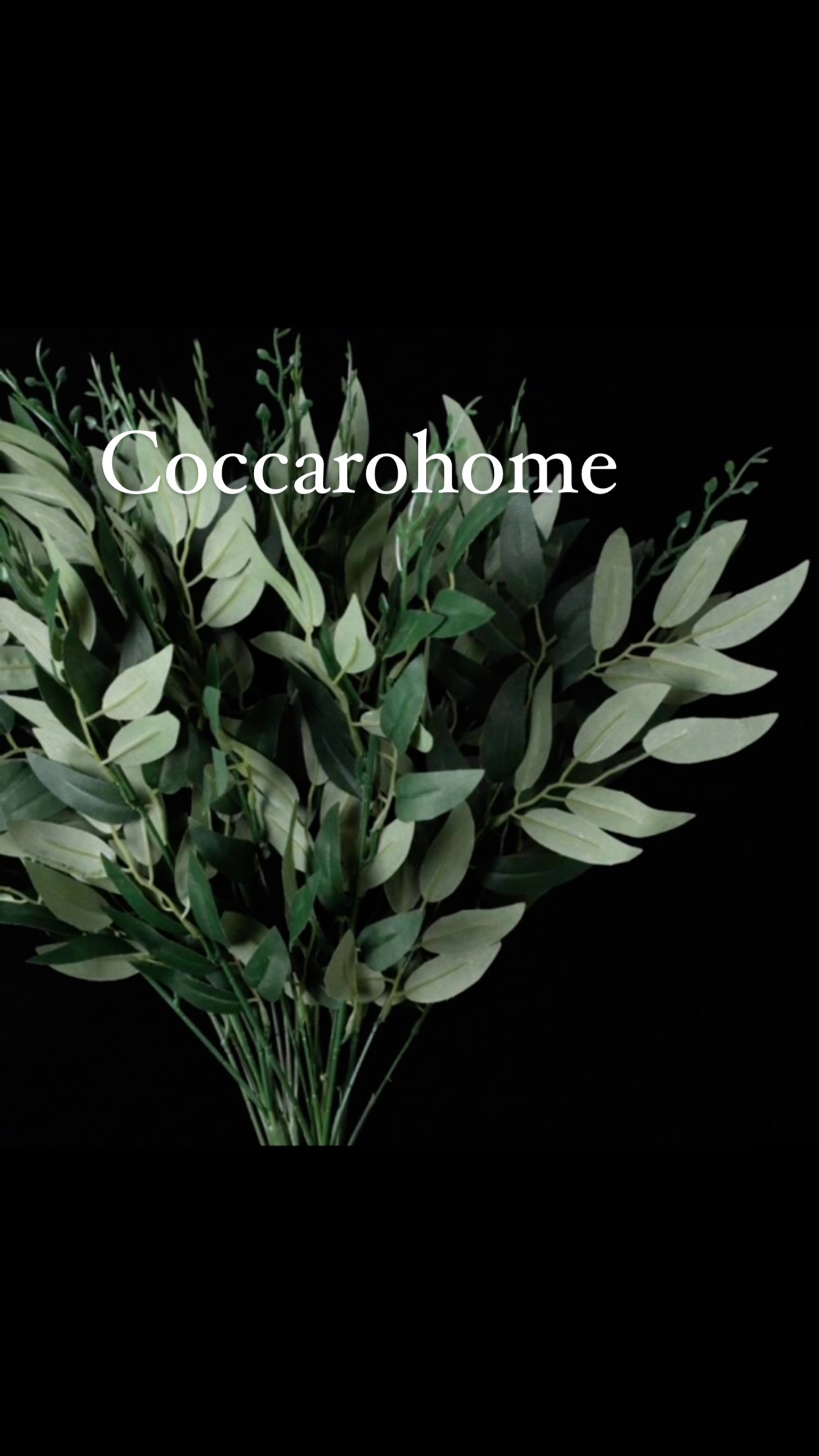 Plants Archives - coccarohome